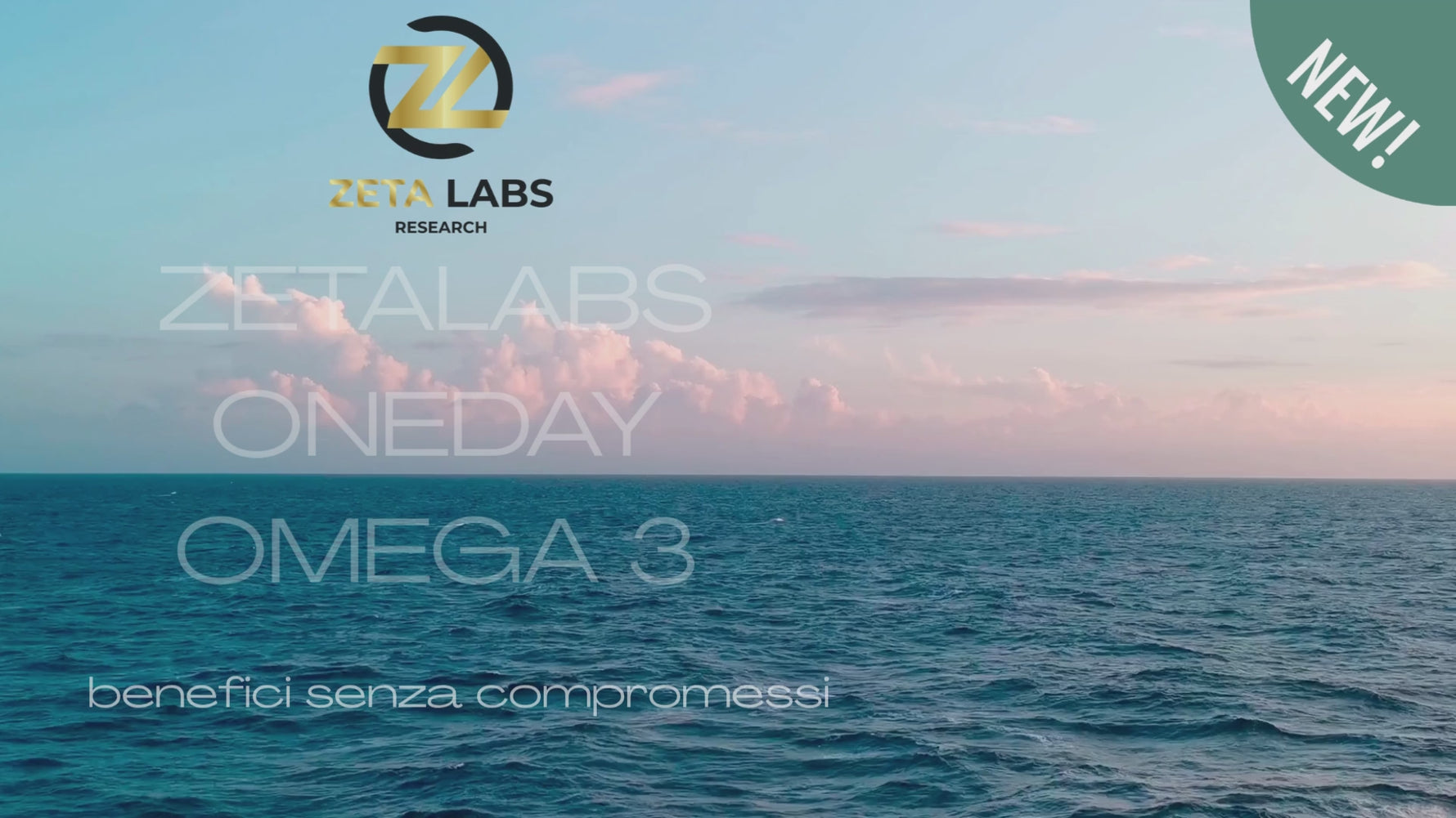 ZetaLabs